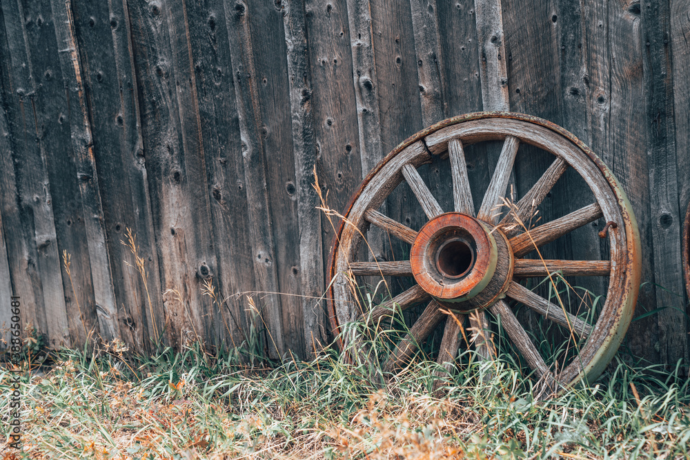 One rusty wagon wheels against a wooden wall, with grass. Useful for ...