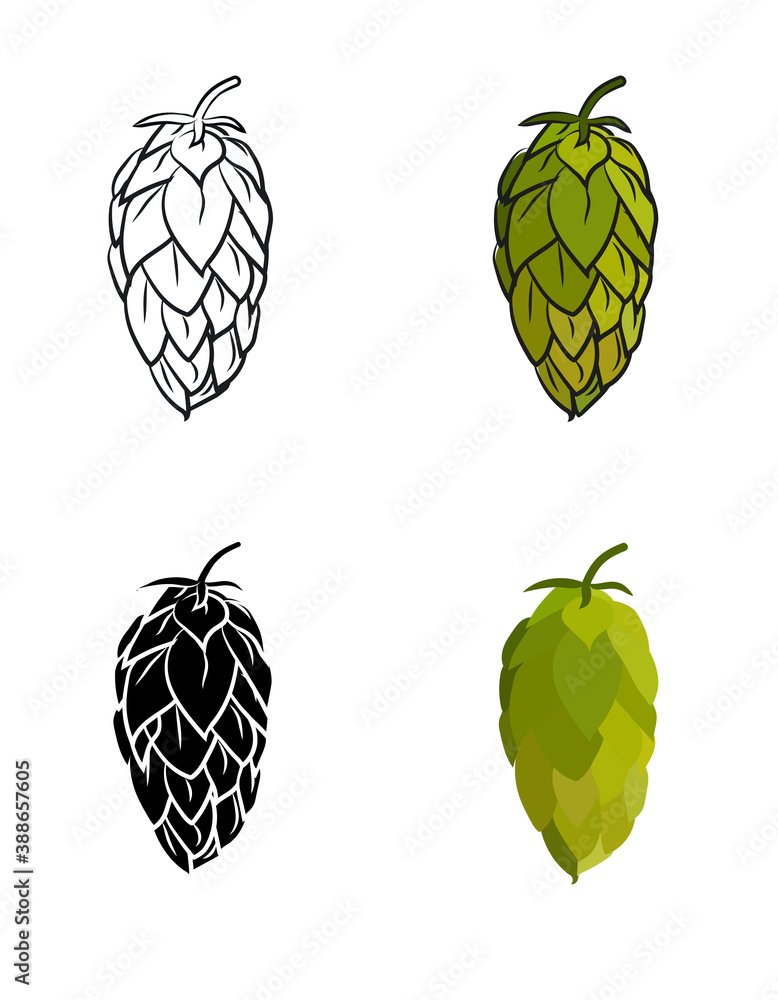 Stylized hop icons.Hops vector visual graphic icons or logos, ideal for ...