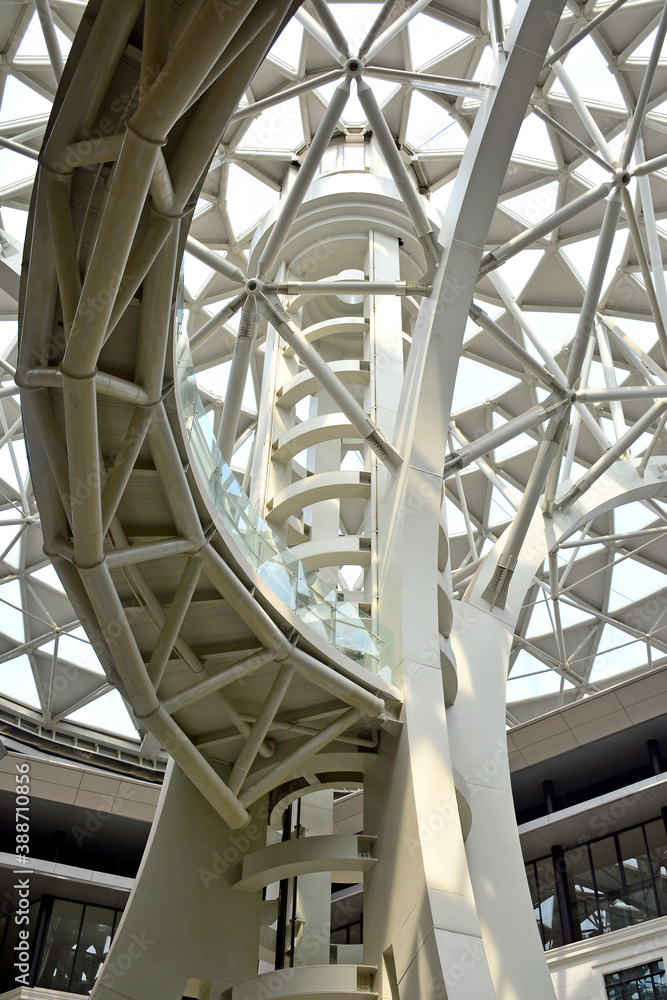 National museum of natural history tree of life structure details Stock ...
