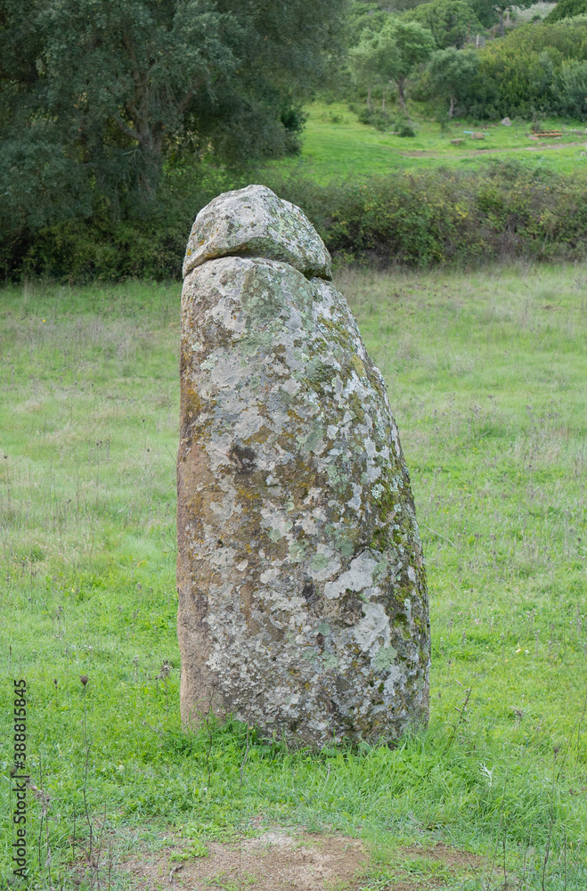 Menhir megalith stone in Sardinia Sardegna Italy big megalith stone ...
