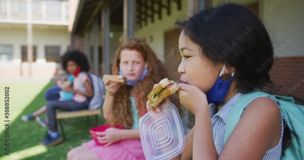 Vidéo Stock Two girls eating lunch from tiffin box while sitting on ...
