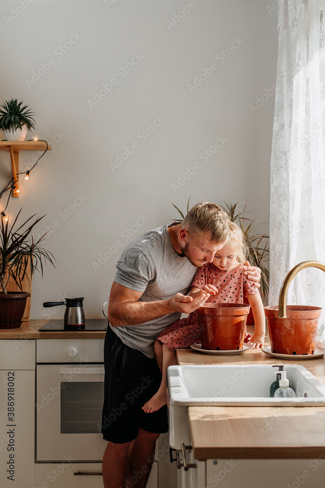 A happy little girl and a man sow seeds of domestic plants. Father and ...