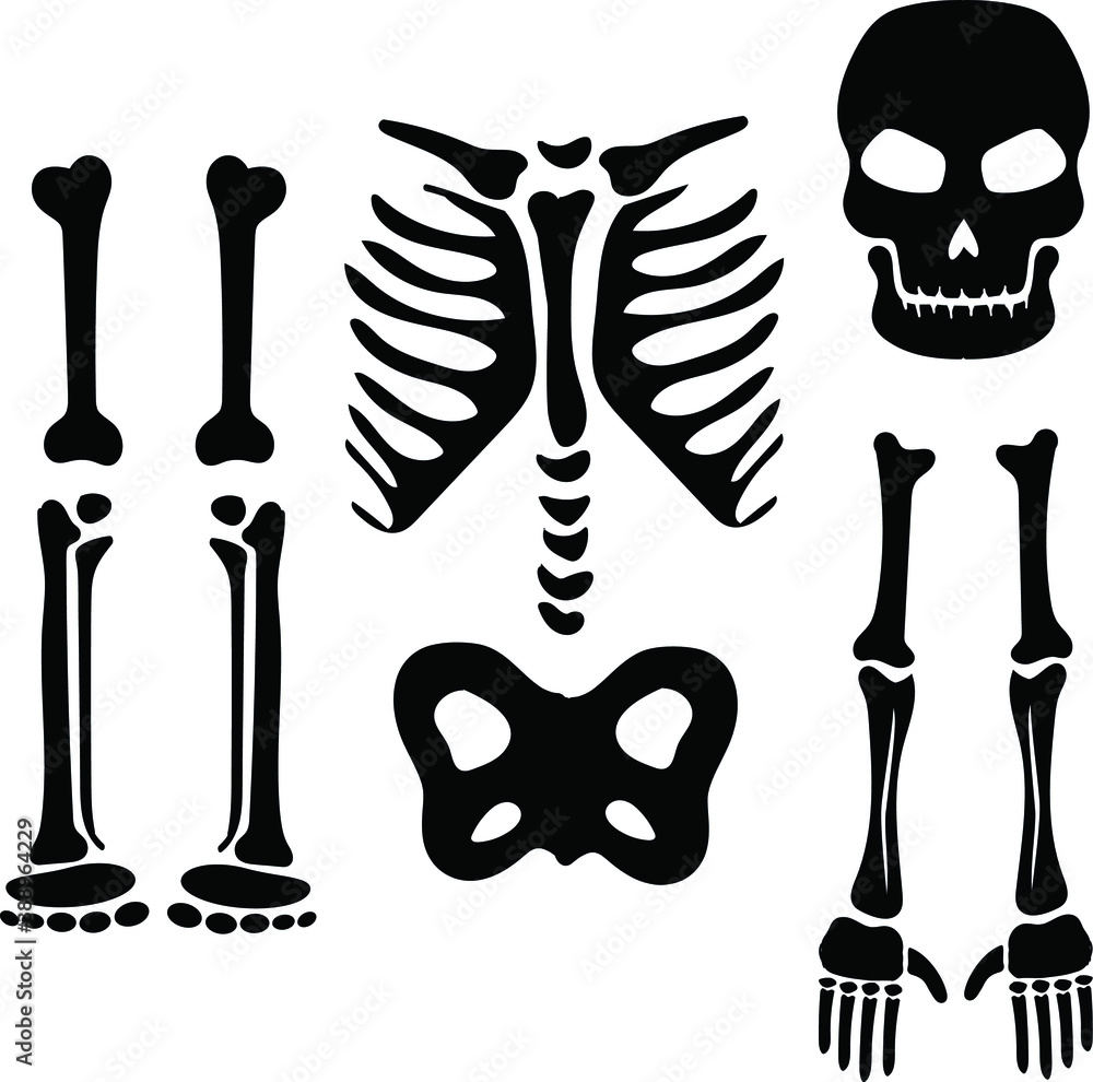 Skeleton body parts silhouette vector. Halloween Stock Vector | Adobe Stock
