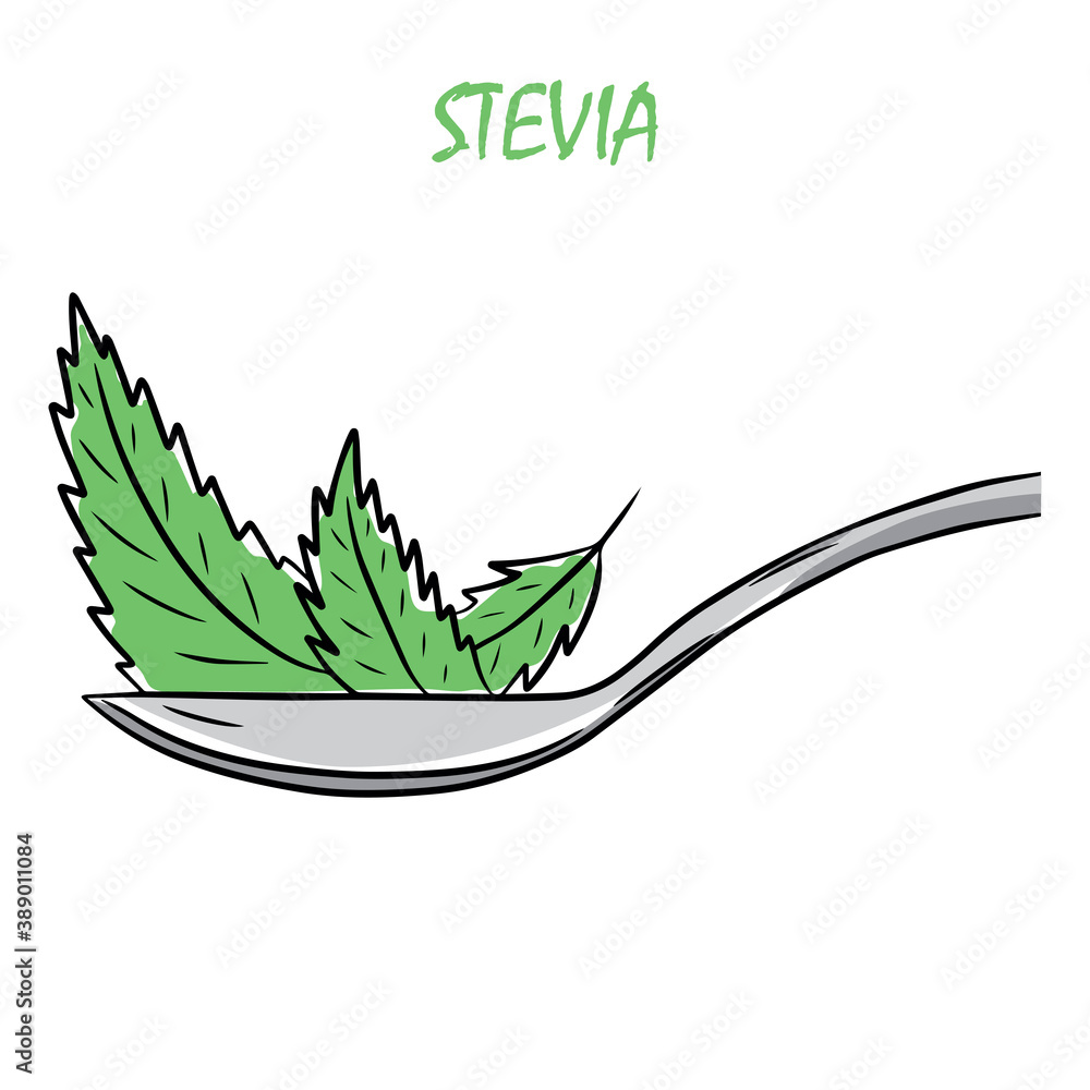 Spoon and stevia leaves. Hand drawn vector illustration, isolated on a ...