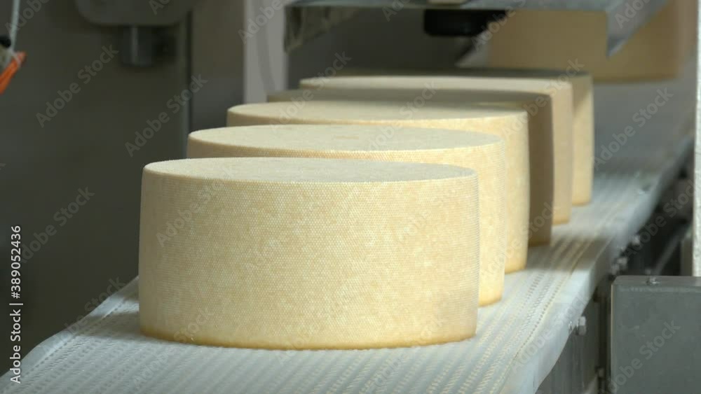 Traditional cheese making in modern technologies. Cheese production ...