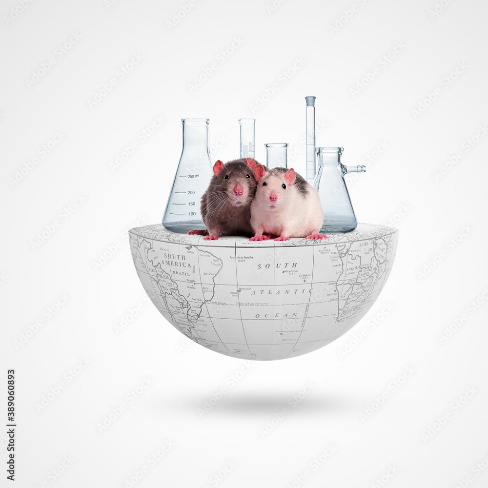 World Day for Laboratory Animals, 24 april. Stop the cruelty. Stop ...