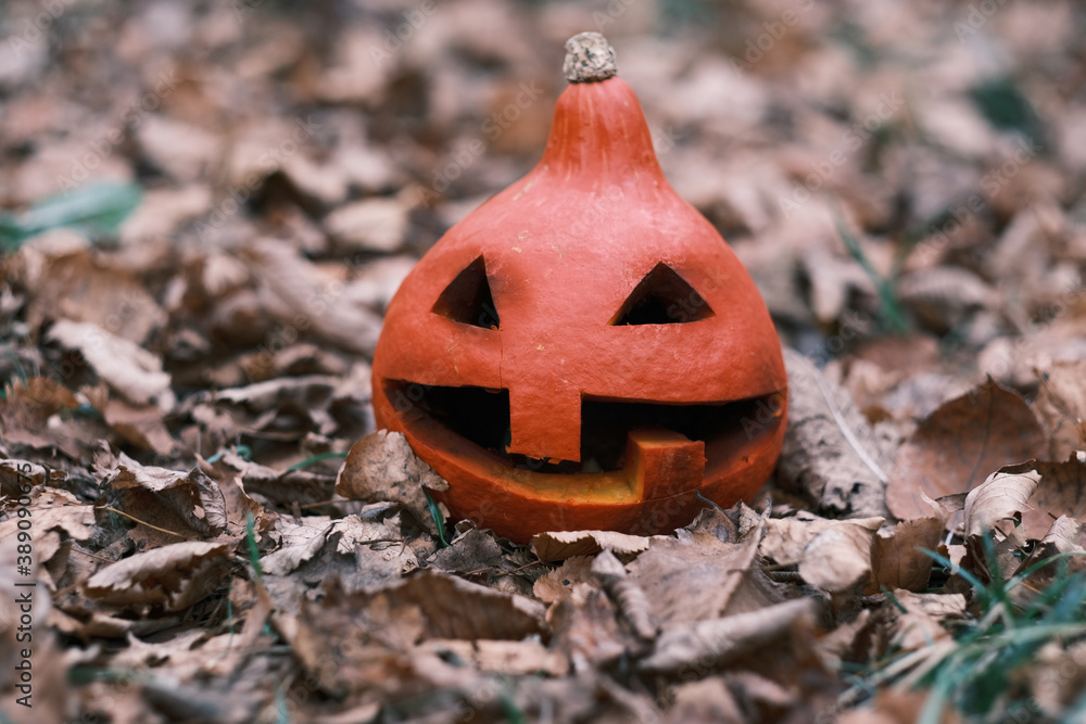 Halloween smoking pumpkin with dry leaves. Restless Jack in anticipation of Judgment Day was ...