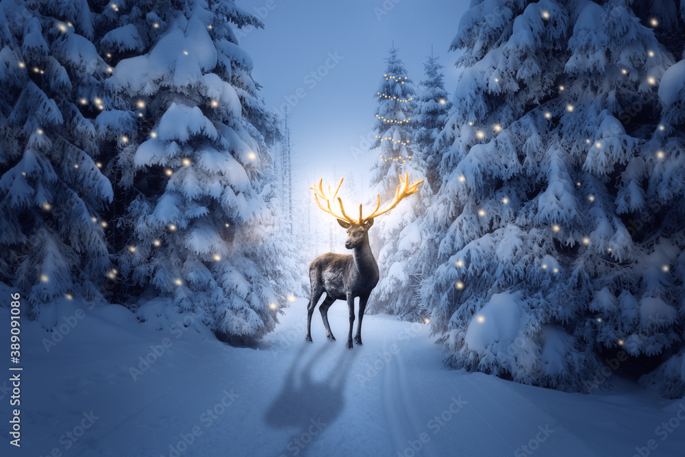 Der Hirsch mit einem goldenen Geweih in einer kalten Winternacht zu ...