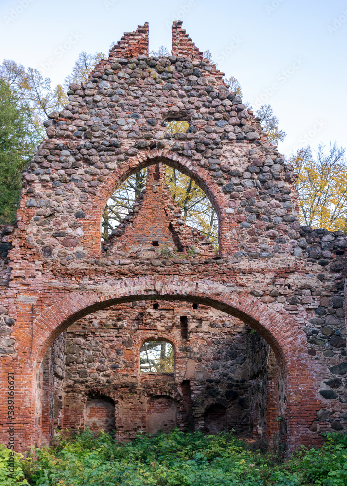 landscape with old church ruins, ruins overgrown with bushes and grass ...