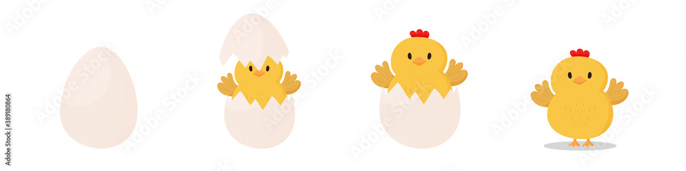Chicken coming out of egg. Cartoon vector on white background. Stock ...