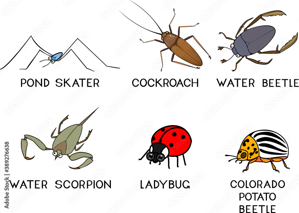 Set of cartoon insects isolated on white background Stock Vector ...