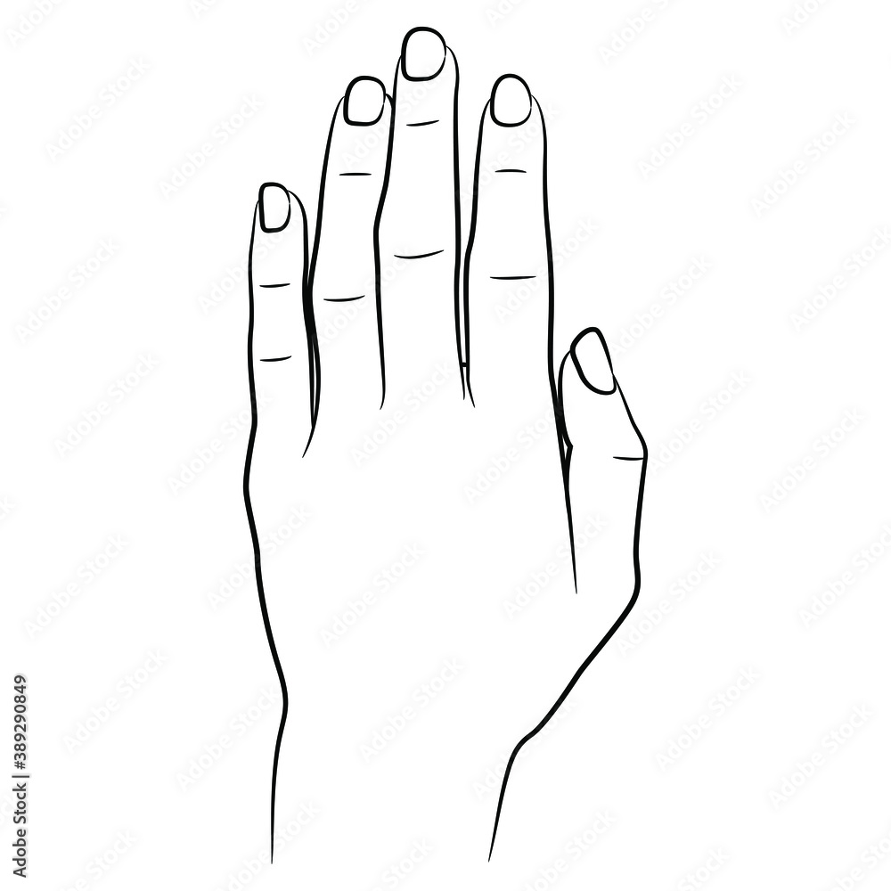 Human female hand. Top view. Manicure template. Black and white linear ...