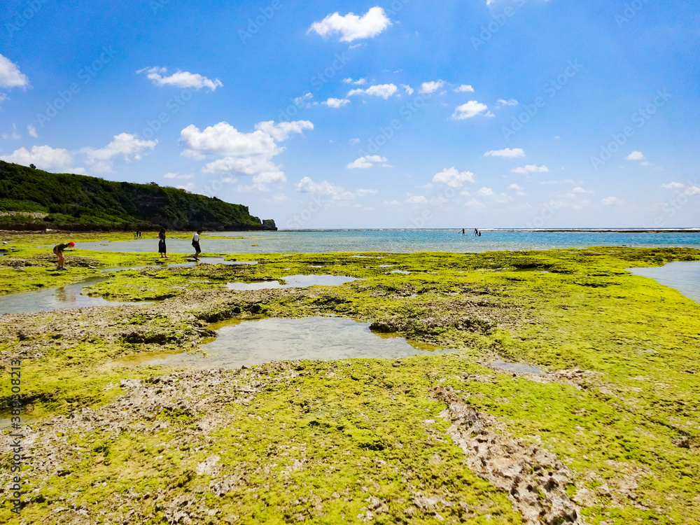 Rocky place that came out at low tide in Okinawa Stock Photo | Adobe Stock