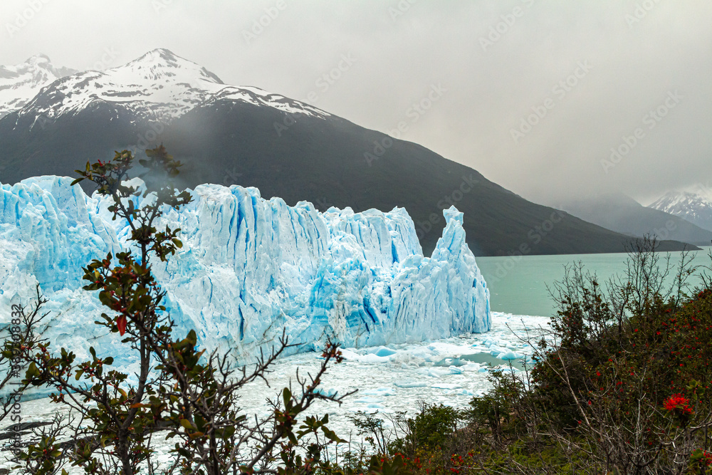 as lindas paredes de gelo azul da glaciar, com vegetação nativa na ...