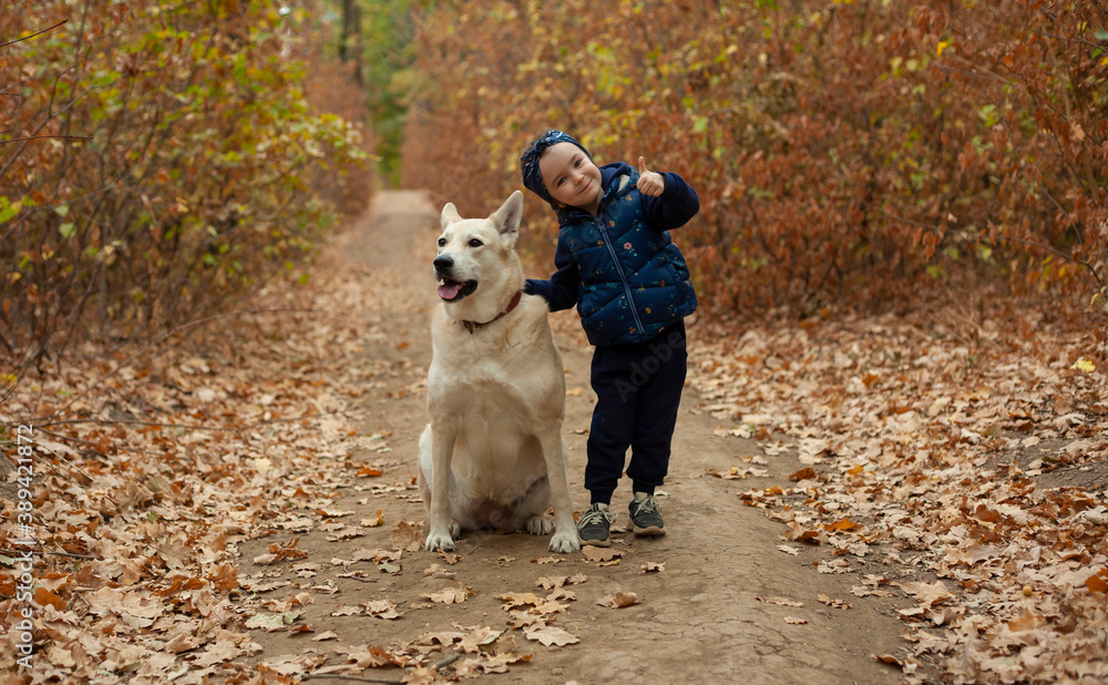 Little girl on a walk in the woods with a dog. The dog found a girl in ...