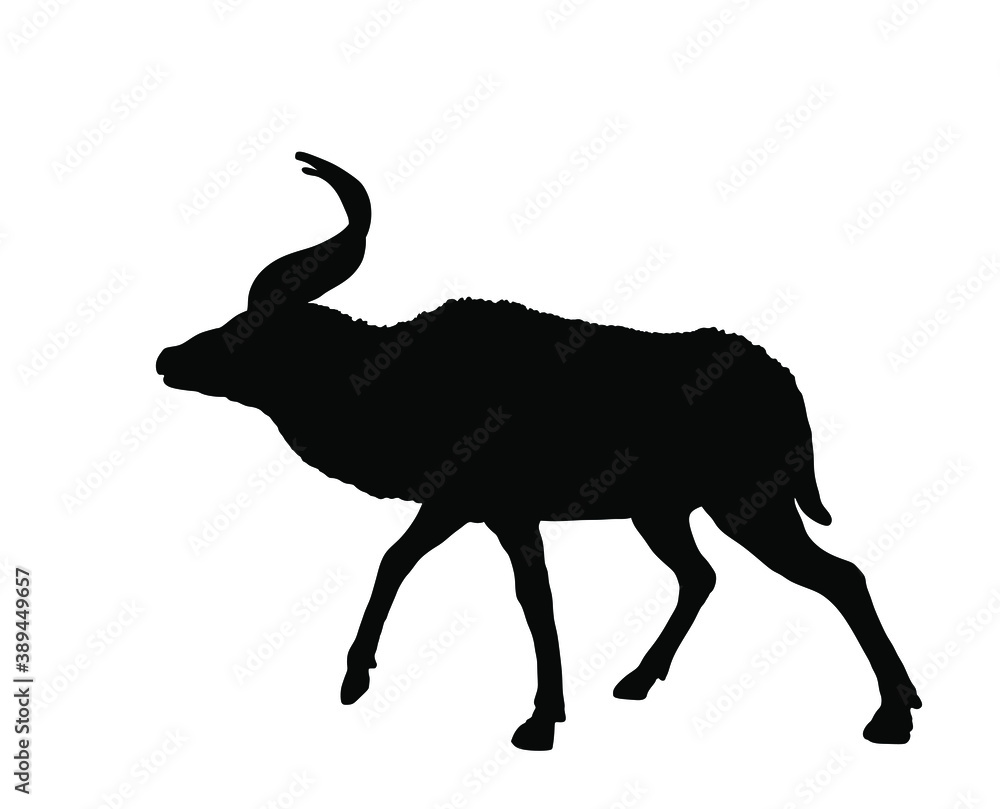 Mountain Nyala vector silhouette illustration isolated on white ...