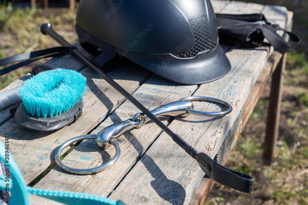 Equipment for horse care and riding: brushes of various sizes and ...
