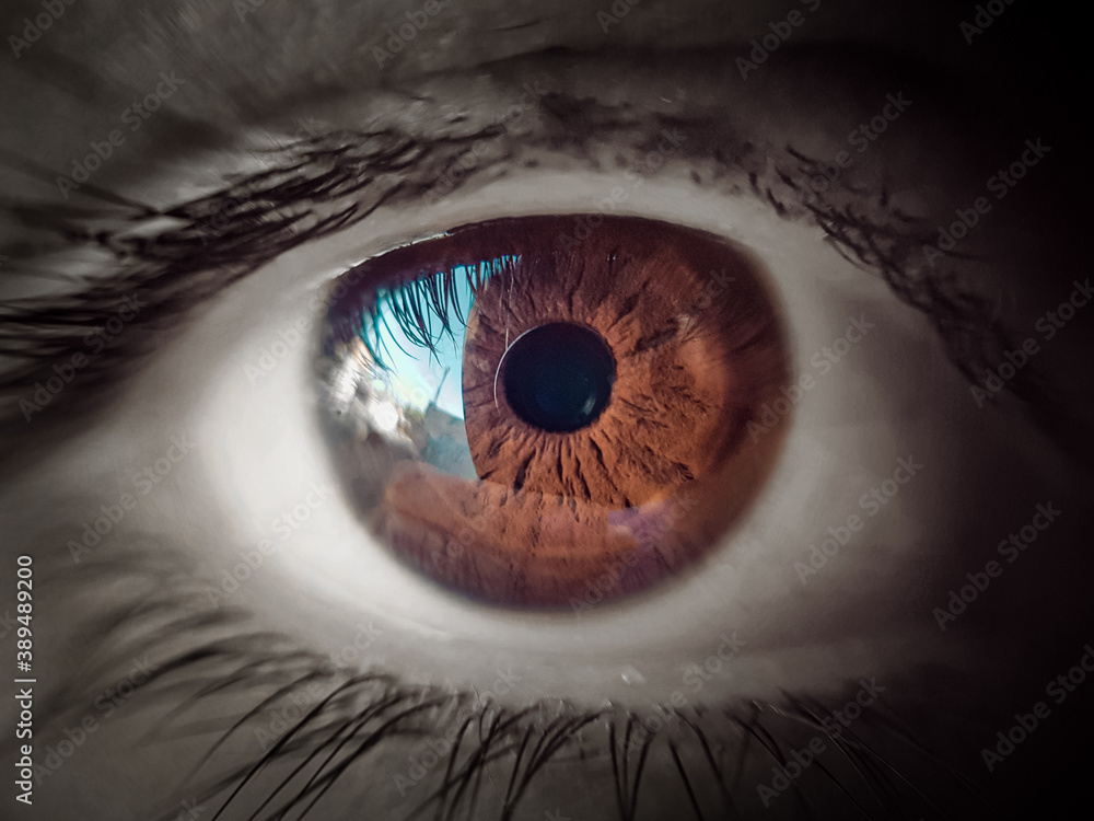 Ojos de una mirada penetrante Stock Photo | Adobe Stock