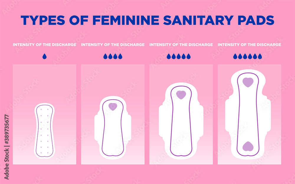 Menstrual cycle Vector illustration in flat design Scheme with types of ...