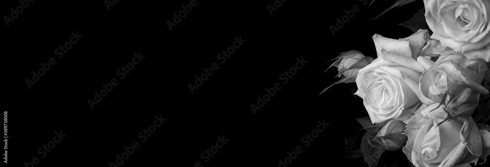 Black And White Headers Tumblr Flowers