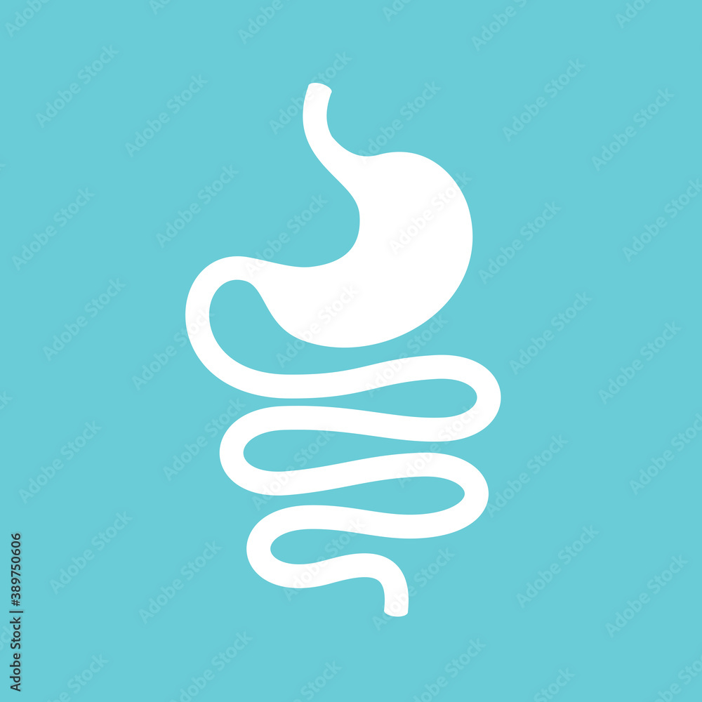Human gastrointestinal system, stomach and intestine vector icon Stock ...