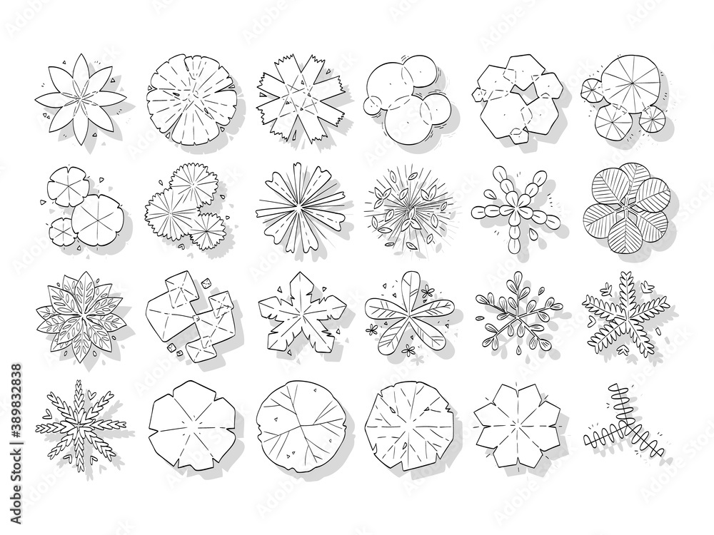 vector of top view tree set, hand drawn sketch isolated on white ...