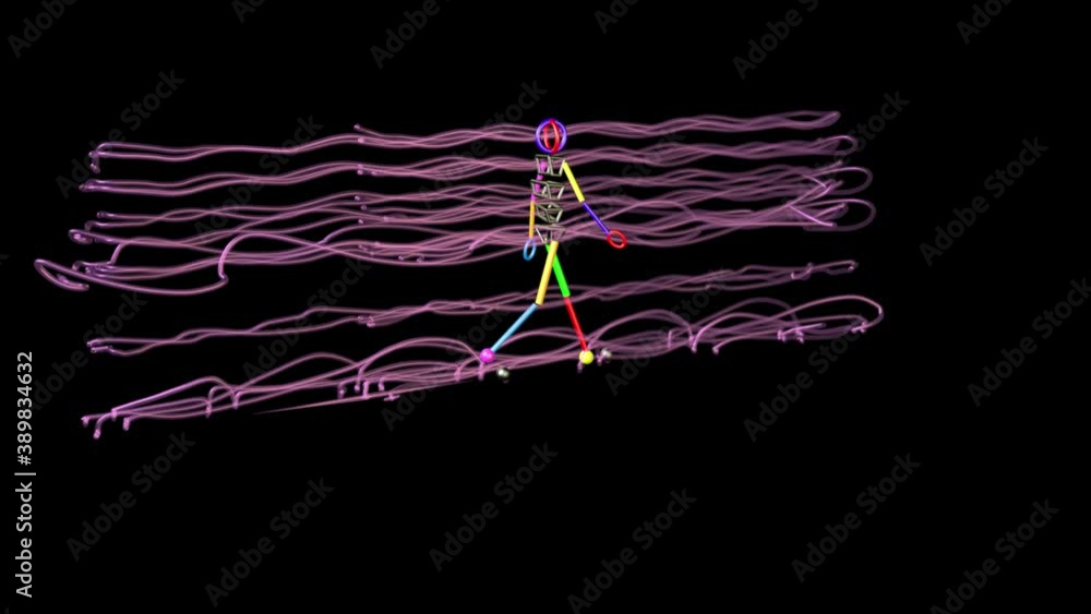 Vídeo do Stock: Gait recognition with motion paths of human character ...