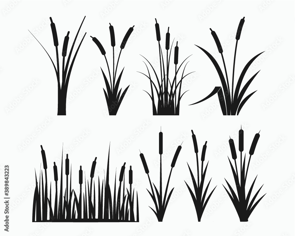 Cattail Symbol Vector Illustration Stock Vector | Adobe Stock