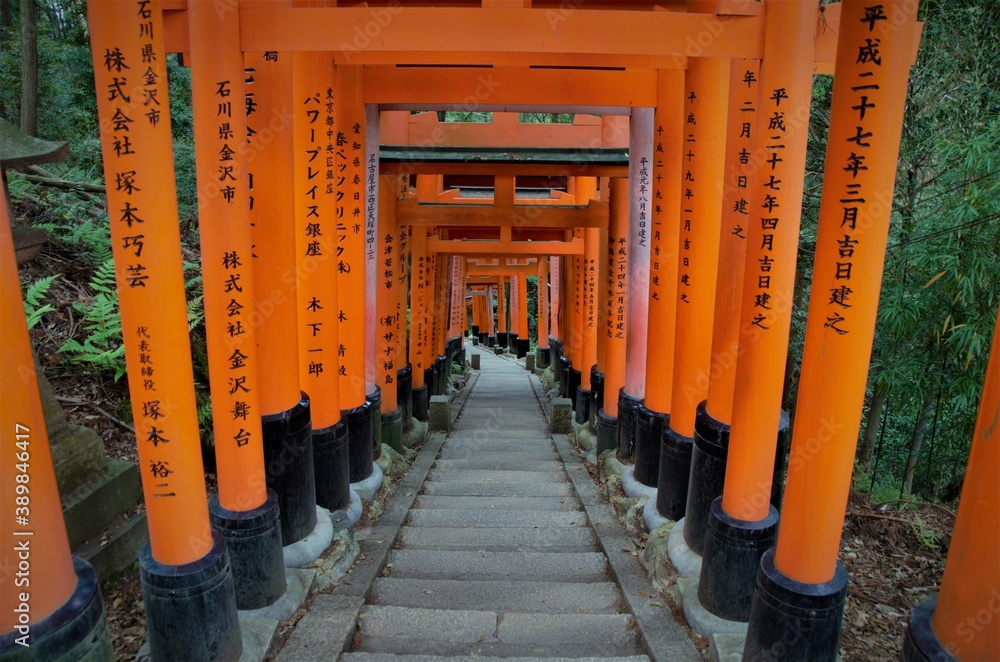Japan pictures, typical japanese traditional lifestyle, trees ans ...