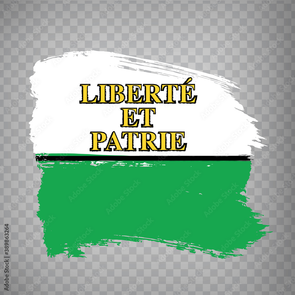 Flag Canton of Vaud brush strokes. Flag of Vaud on transparent ...