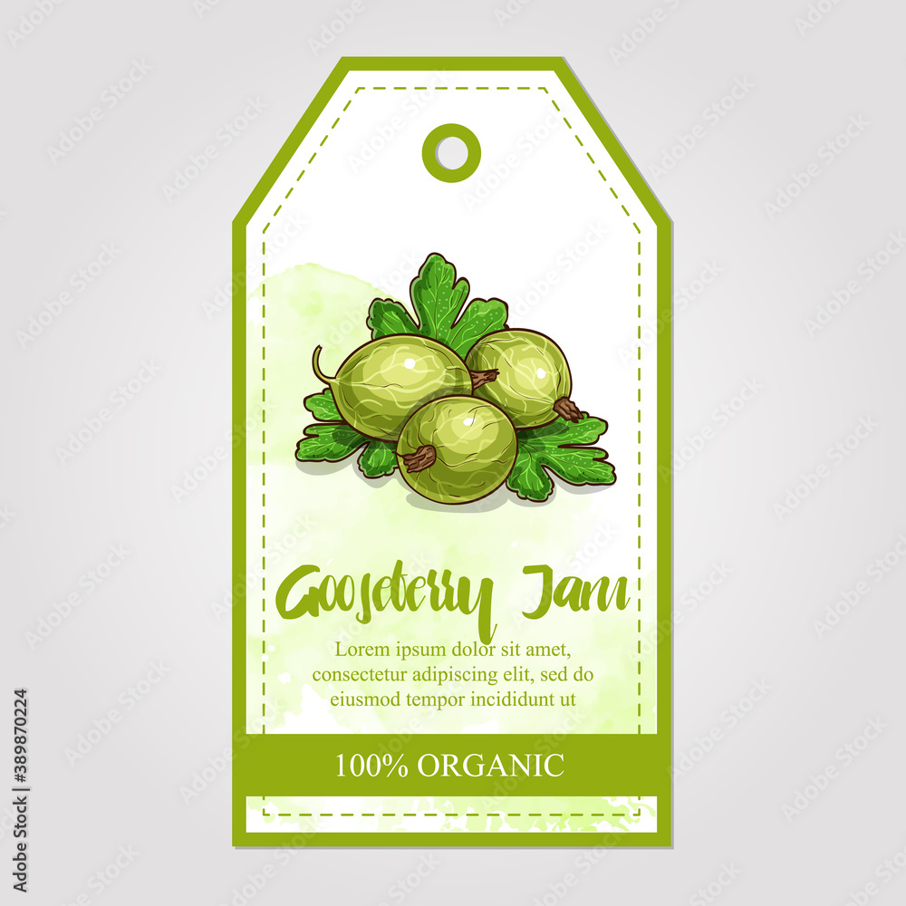 vector label of gooseberry with watercolor background and colored ...