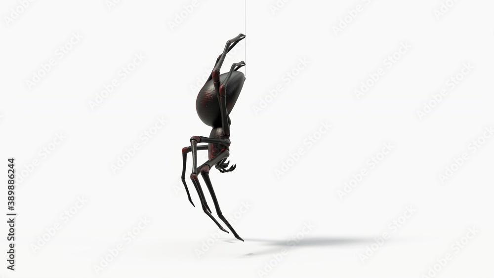 hanging black spider. with red skin details. suitable for horror ...
