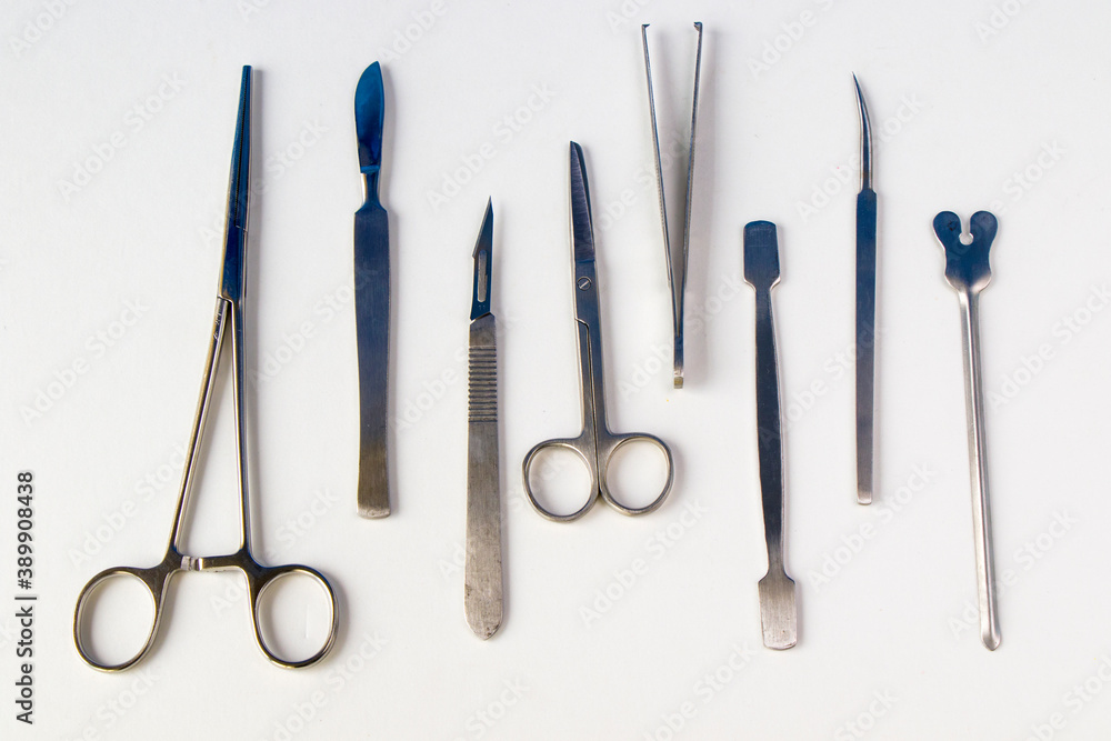 Dissection Kit - Stainless Steel Tools for Medical Students of Anatomy ...