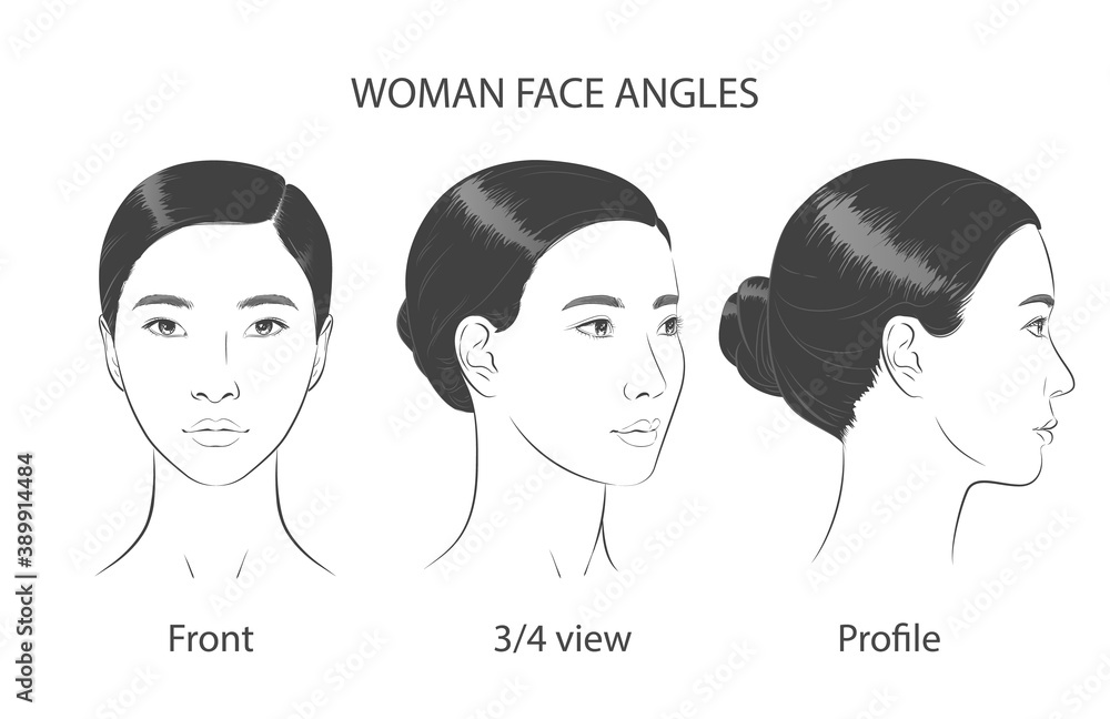 Asian korean women portrait three dimension angles. Vector illustration ...