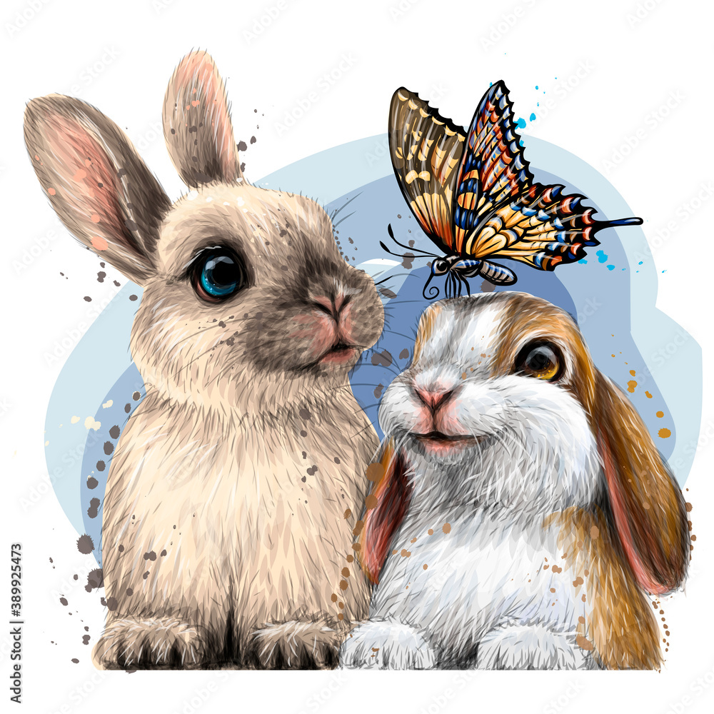 Little rabbits with a butterfly . Wall sticker. Color, artistic ...