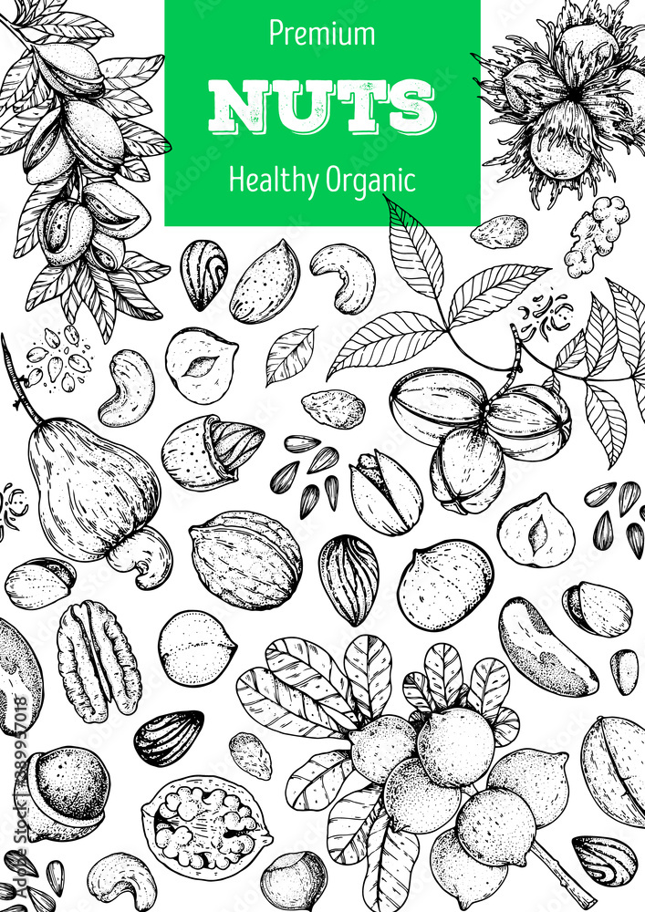 Nuts collection hand drawn sketch. Organic healthy food. Great for packaging design. Pistachios ...