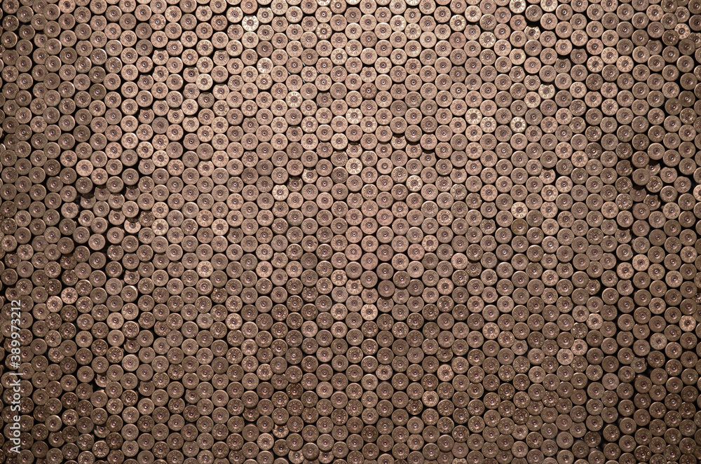 Pattern of 12 gauge cartridges for shotgun bullets. Shells for hunting ...