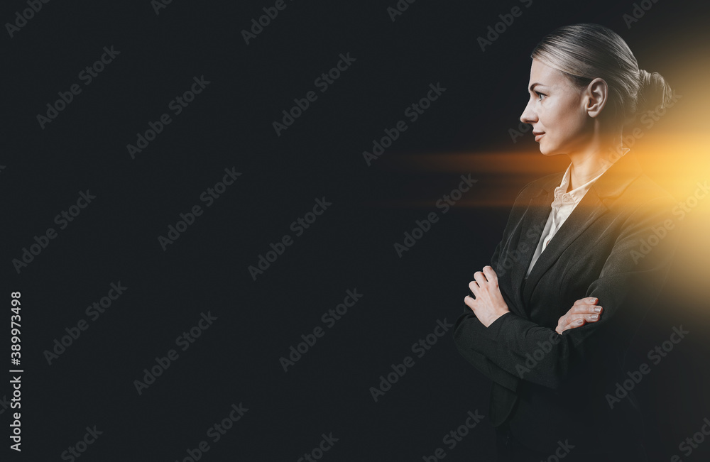 business woman, the concept of a strong and independent business woman ...