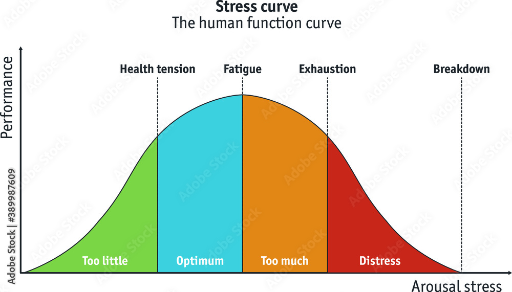 Different stages of the stress curve ranging from underload to burn-out ...