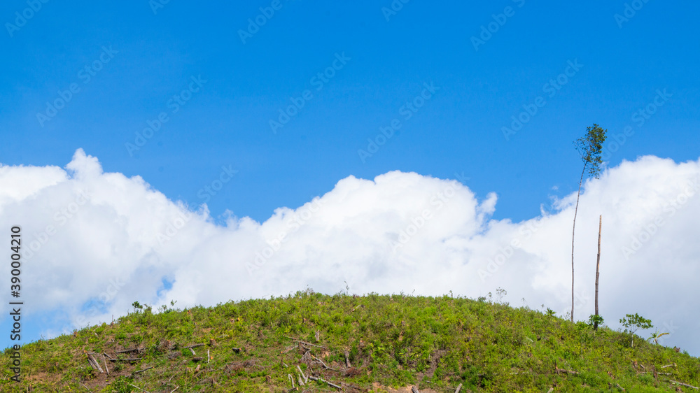 The peak of the mountain with only one tree left due to illegal logging ...