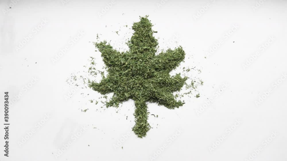 Stop motion animation of shredded marijuana on white background going ...