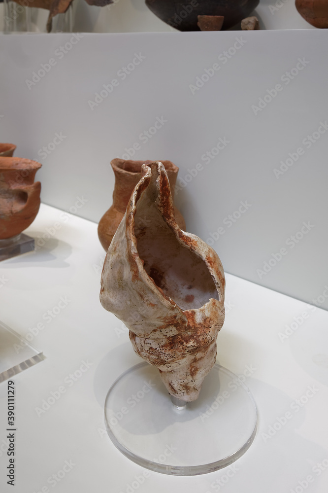 Sea Shell shape pottery, Minoan culture in Heraklion Archaeological ...