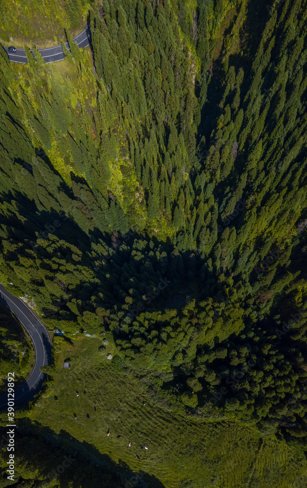 Overhead aerial top view over forest in Sete Cidades. Mountain curve ...