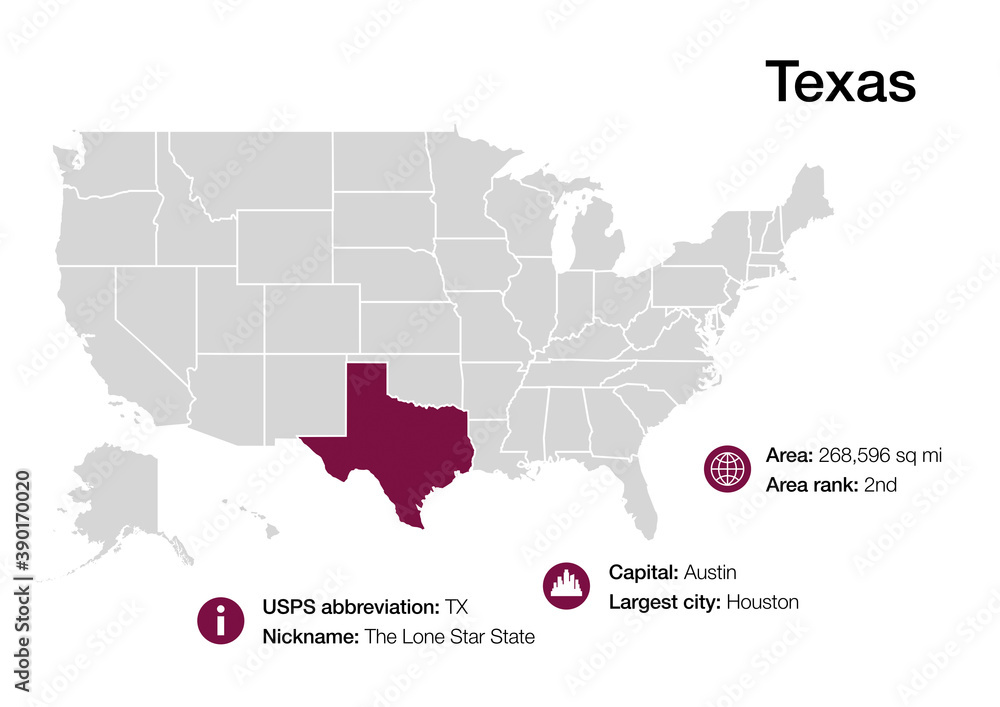 Map of Texas state with political demographic information and biggest ...