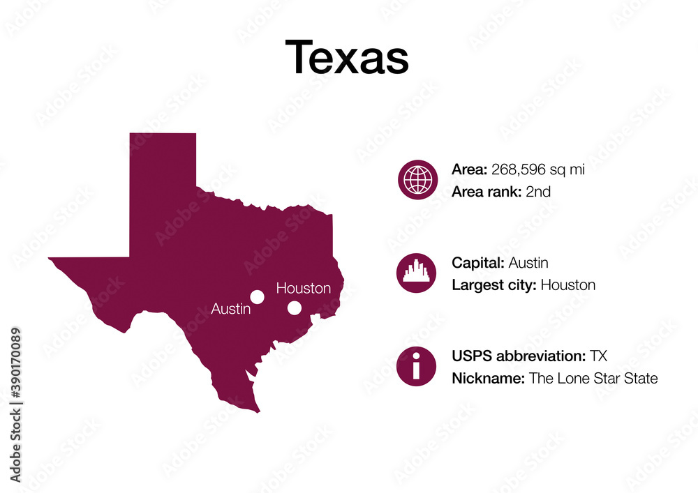 Map of Texas state with political demographic information and biggest ...
