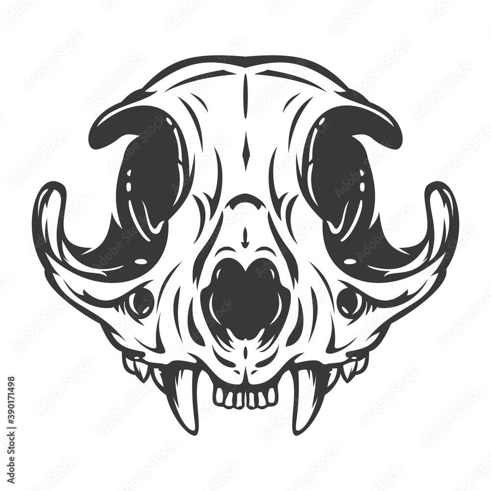 Cat skull in monochrome hand drawn style isolated on white background ...