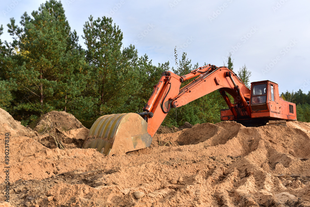 Excavator clearing forest for new development and road work. Backhoe ...
