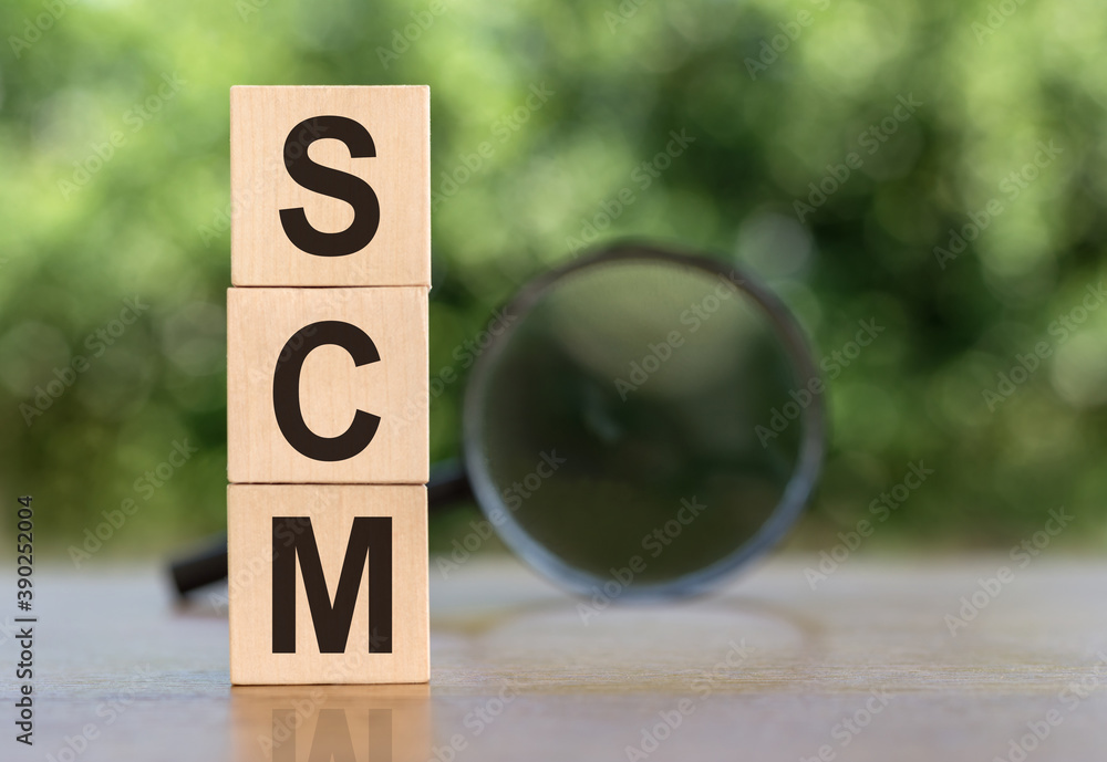 SCM (Supply Chain Management) abbreviation. Wooden cubes with letters ...