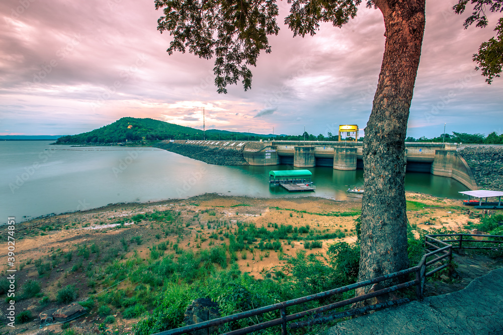 blurred nature background view of naturally occurring trees and ...