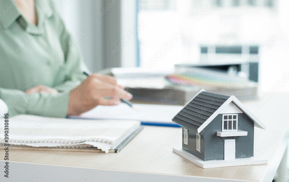 The designer is planning the interior of the house, illustrating and ...